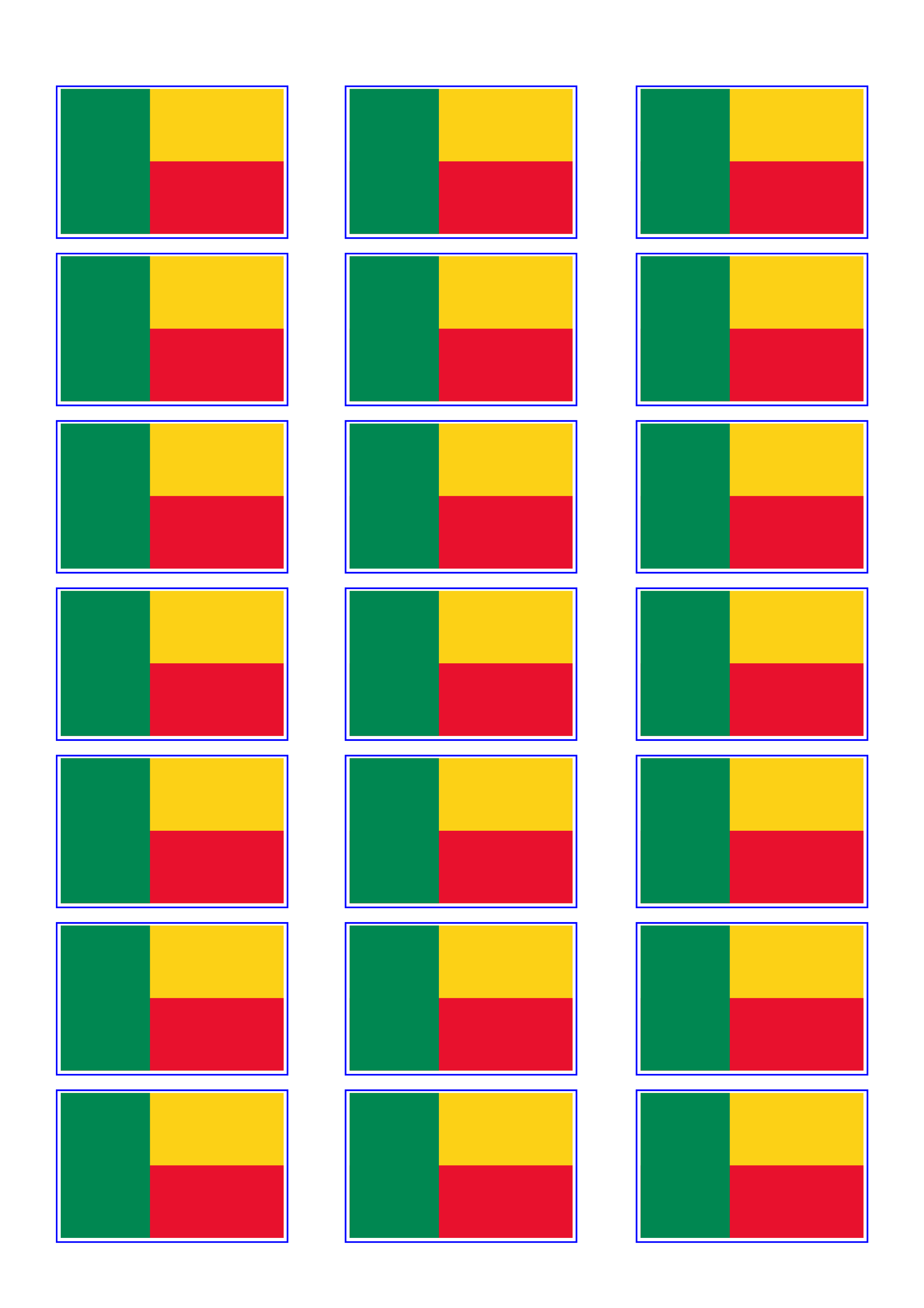 Benin Flag | Templates at allbusinesstemplates.com
