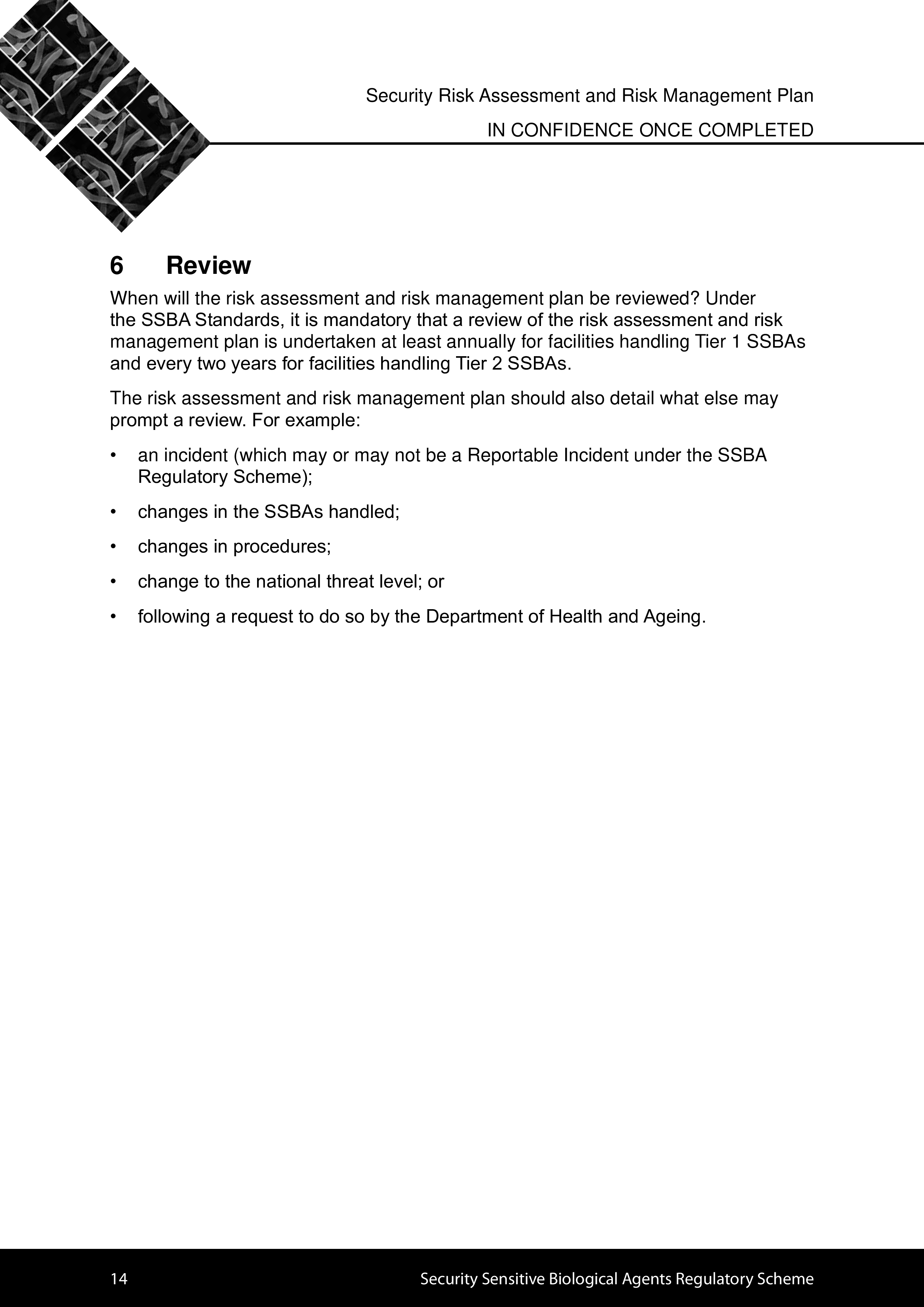 Security Risk Management Plan | Templates at allbusinesstemplates.com