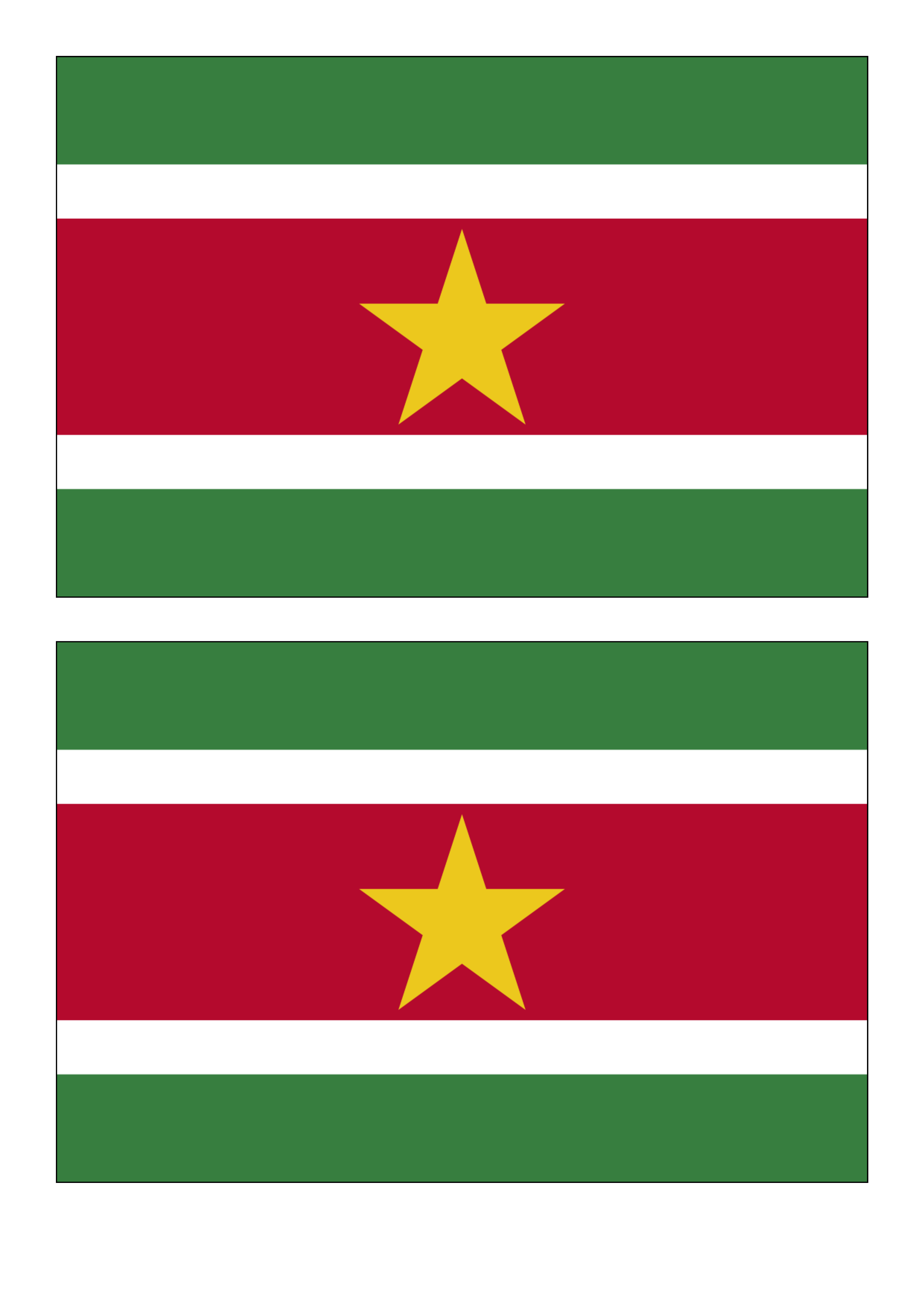 Suriname Printable Flag | Templates at allbusinesstemplates.com