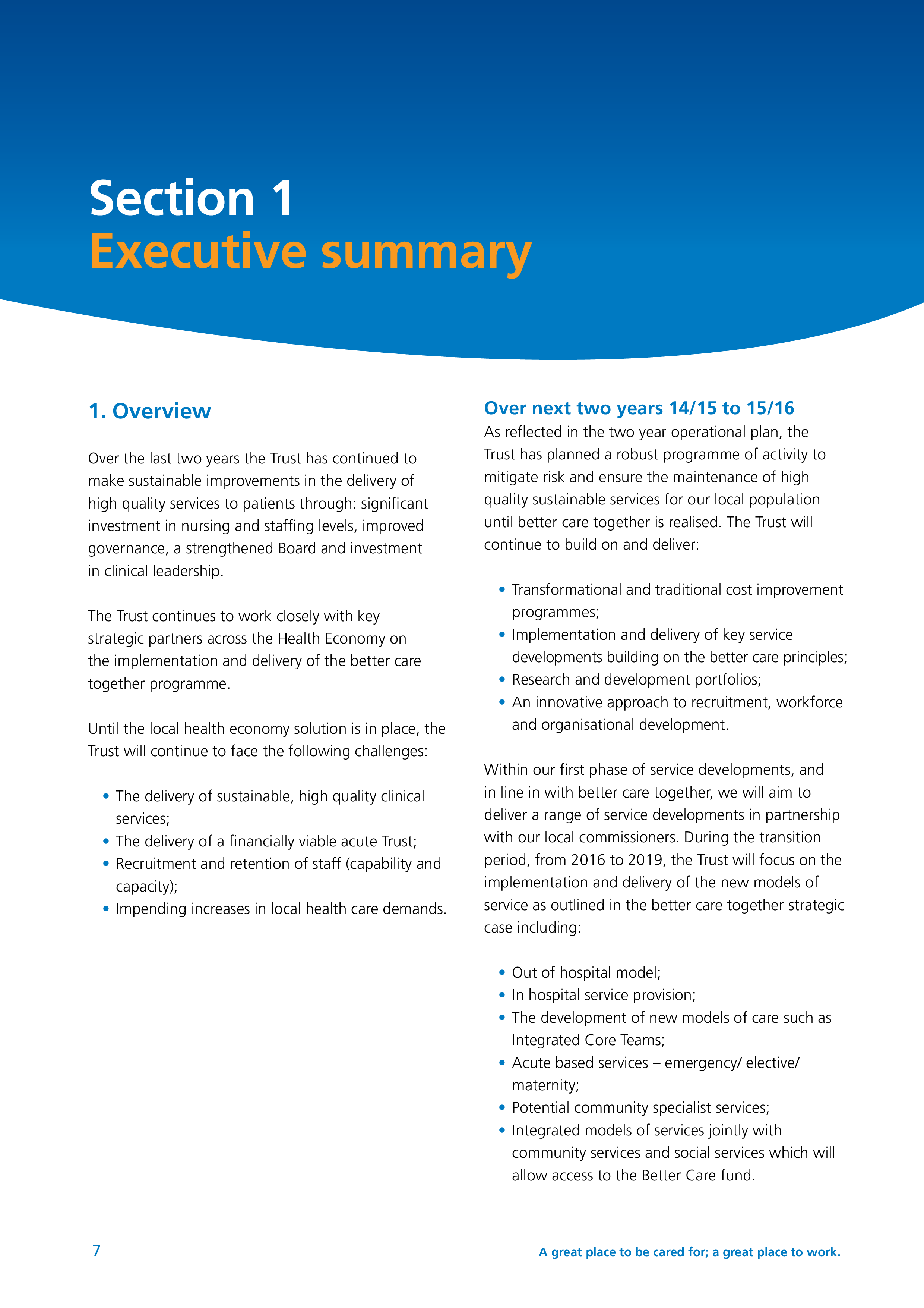 5 Year Hospital Strategic Plan | Templates at allbusinesstemplates.com