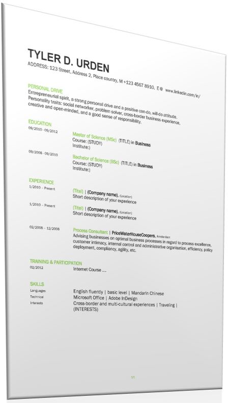 Na premium Professional Resume template
