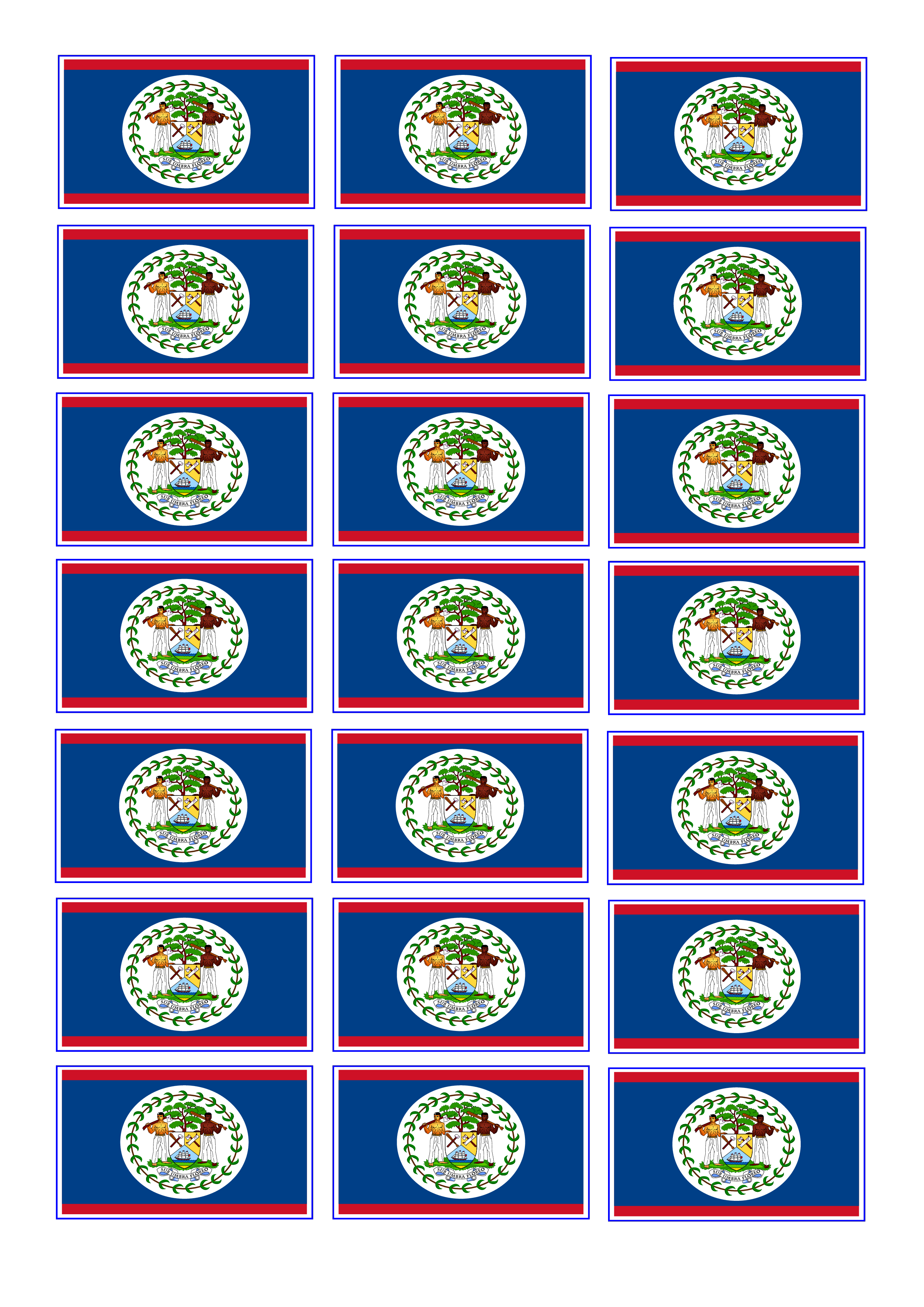 Belize Flag | Templates at allbusinesstemplates.com