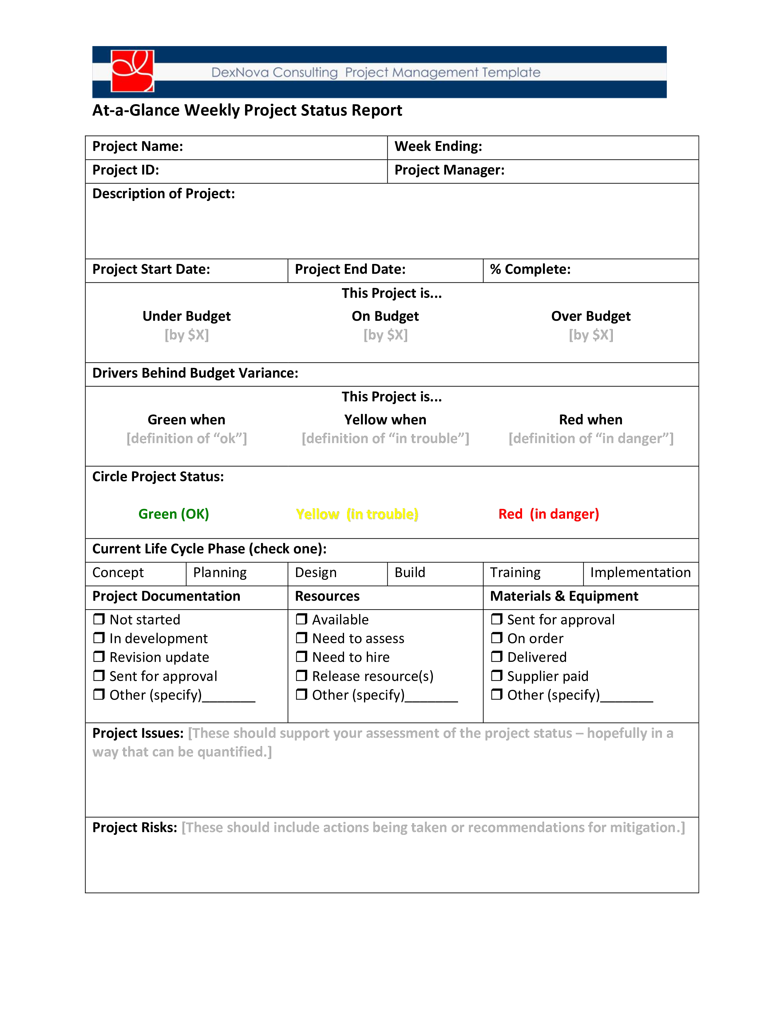 Weekly Project Management Status Report Template