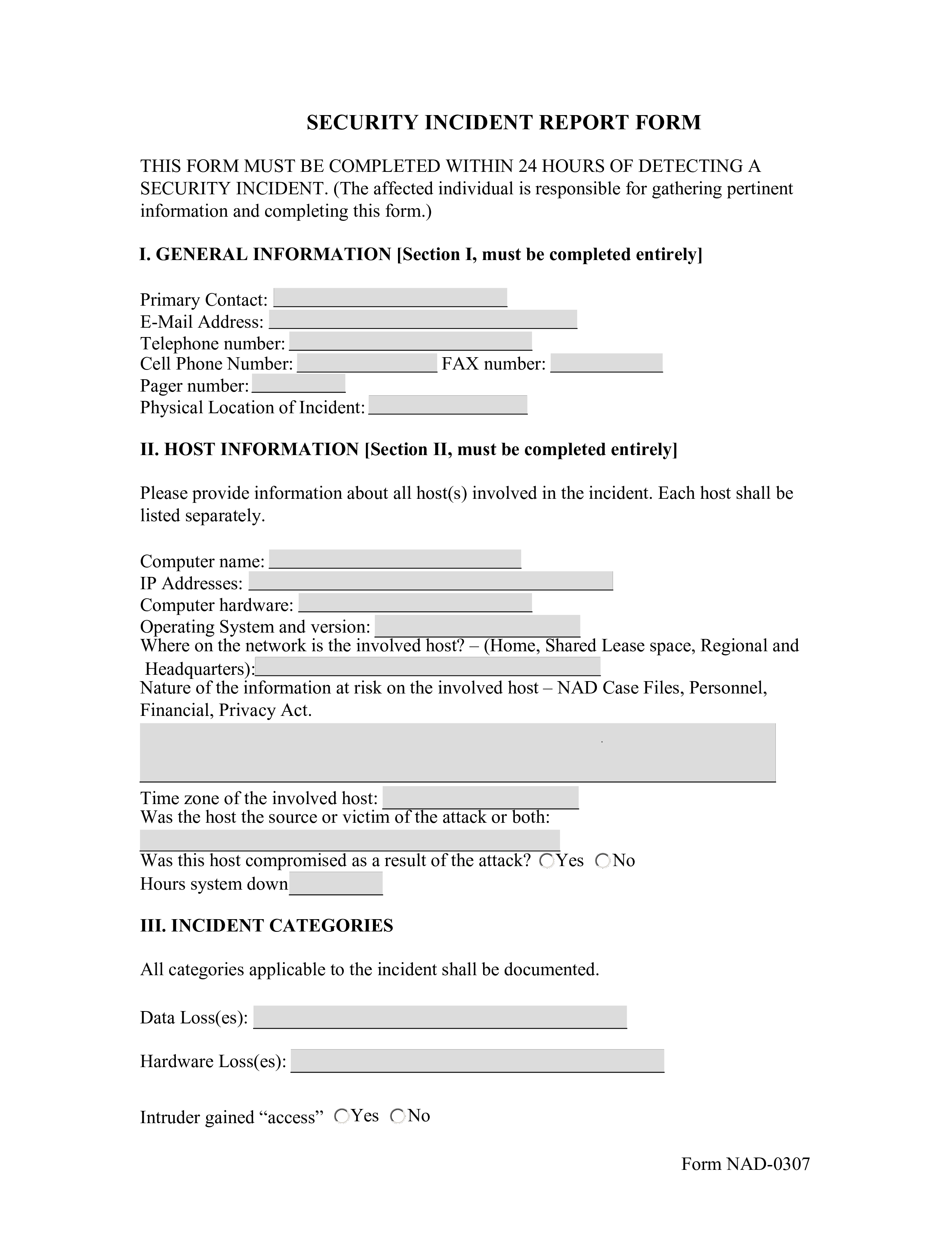 Information Security Report Template