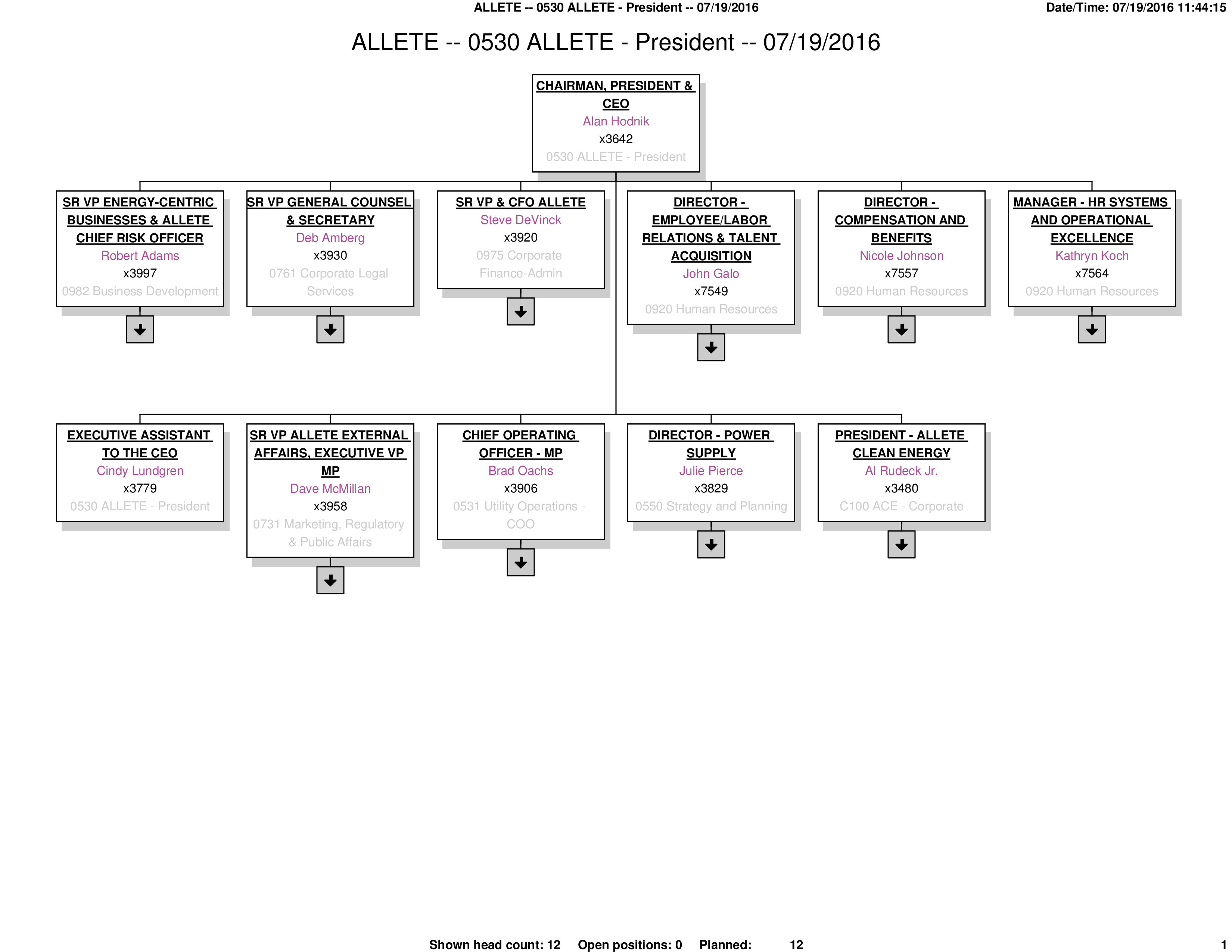 Télécharger Gratuit Legal Organization Chart Sample