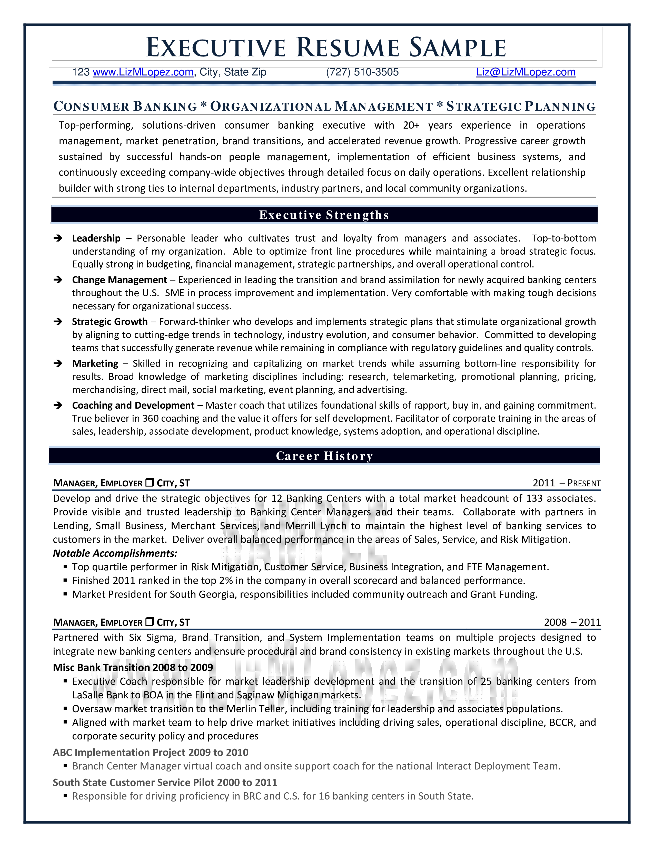 Gratis Business Leidinggevende CV Sample